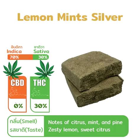 Buy Lemon Mints Silver Online At Best Price In Thailand Thaigreenlab Shop