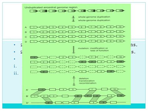 Ppt Mouse Genome Project Bioinformatics 407 Powerpoint Presentation Free Download Id2592865