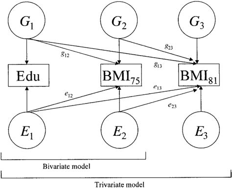 Simplified Version Of Bivariate And Trivariate Models Including Genetic