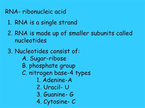 PPT Structure And Function Of RNA PowerPoint Presentation Free Download ID 7038470