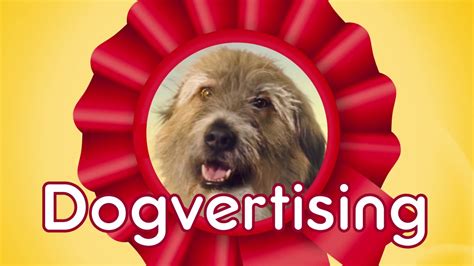 Dario Belić Posted On Linkedin