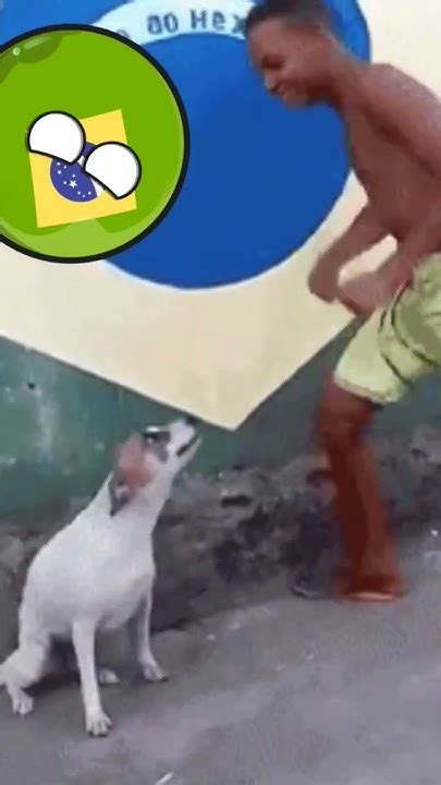 Brazilian Dog Dance Hilarious Youtube