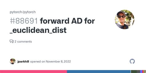Forward AD For Euclidean Dist Issue 88691 Pytorch Pytorch GitHub