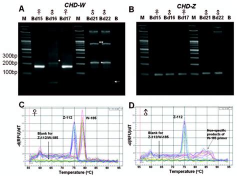 Representative Gel View And MCA Using Sex Specific Primers Of S C Download Scientific Diagram
