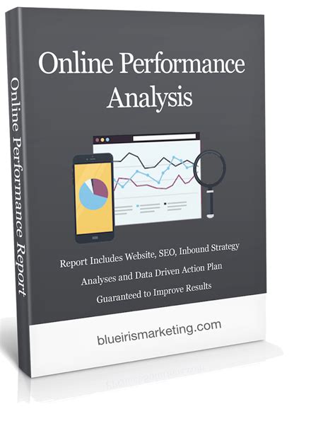 Online Performance Analysis Blue Iris Marketing Web Design