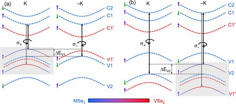 Schematic Diagrams Of Two Scenarios Of Interlayer Hybridization The Download Scientific