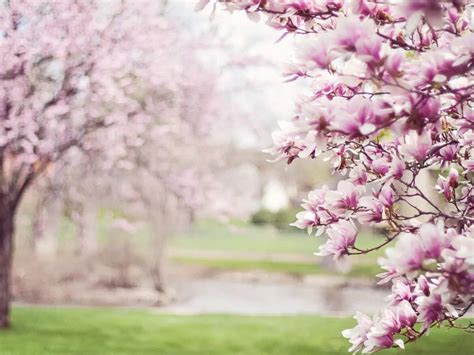 7 Funny Ways In Which Bollywood Showed Sex