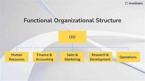 Functional Organizational Structure Ways To Unleash The Power Within Your Organization In