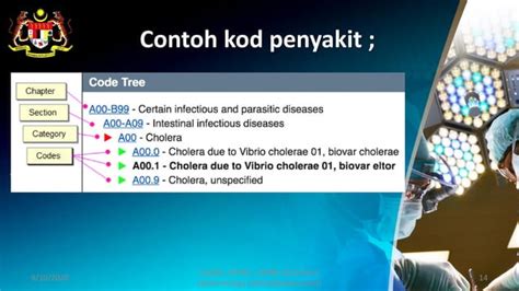 Classification Of Disease Pdf