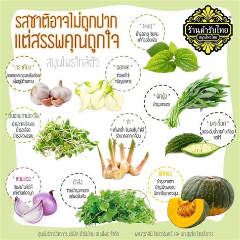 ร้านตำรับไทย สมุนไพรไทย เคล็ดลับสมุนไพร