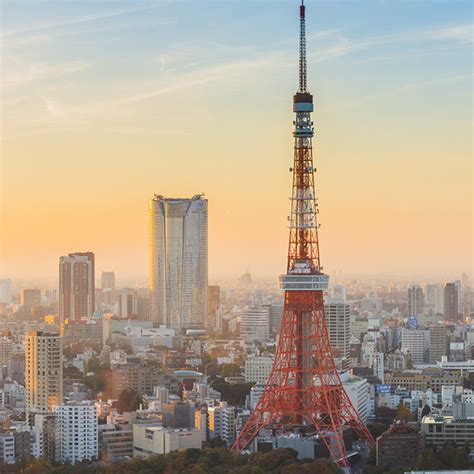 [전용라인] 도쿄타워 전망대 패스트트랙 입장권ㅣ데이오프