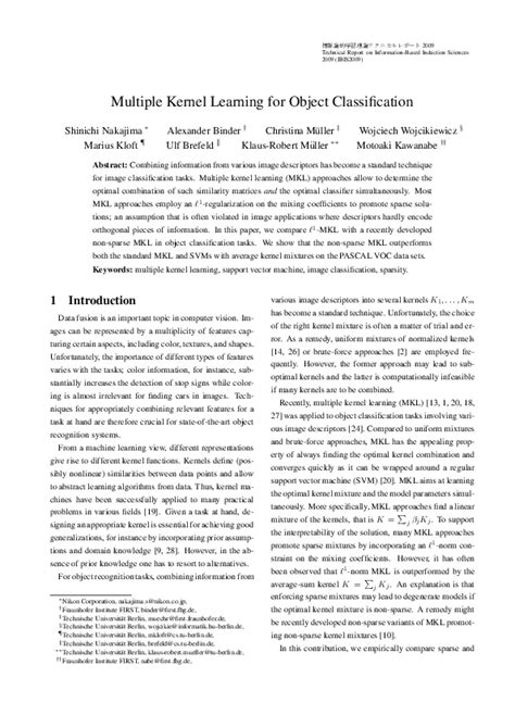 pdf multiple kernel learning for object classification
