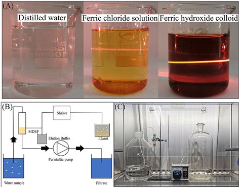 Frontiers Combination Of Fe Oh 3 Modified Diatomaceous Earth And Qpcr
