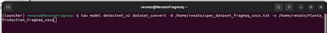 error converting coco custom data set to detectnet v2 training tao