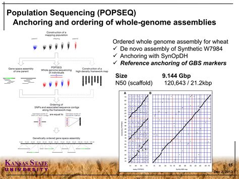 Genomic Selection And Precision Phenotyping Pdf
