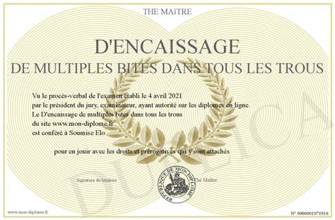 D Encaissage De Multiples Bites Dans Tous Les Trous