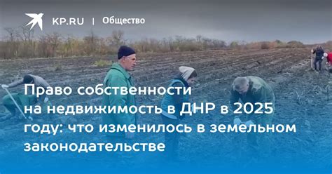 Право собственности на недвижимость в ДНР в 2025 году что изменилось в земельном