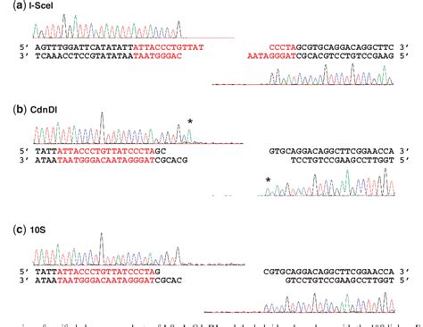 Figure 6 From Creation Of A Type Iis Restriction Endonuclease With A Long Recognition Sequence