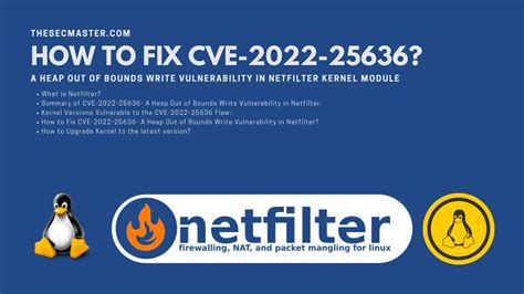 Fix Linux Cve 2022 25636 Netfilter Security Patch Guide Fix Linux Cve 2022 25636 Netfilter Security Patch Guide