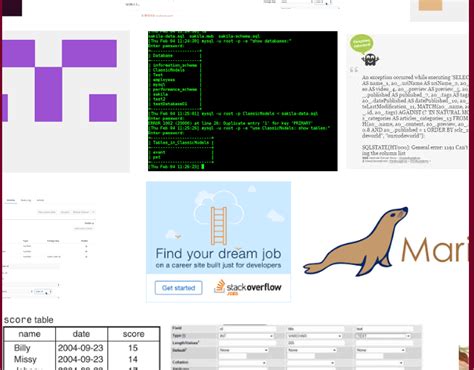 如何解決whm搬站出現的 Mysql Error Messagecant Find Any Matching Row In The User Table Unethost無限空間虛擬