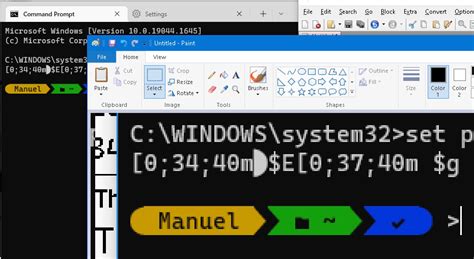 Caskaydiacove Font Does Not Include Any Accent Characters · Issue 828