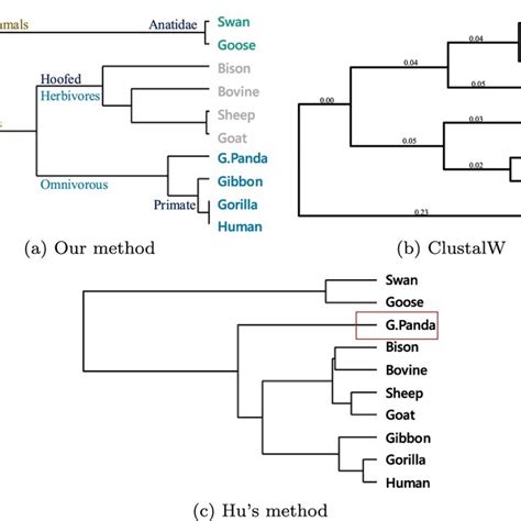 Phylogenetic Trees Of 11 Betaset Constructed By A Our Method B Download Scientific Diagram
