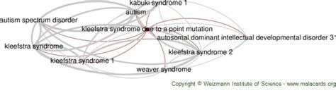 Kleefstra Syndrome Due To A Point Mutation Disease Malacards