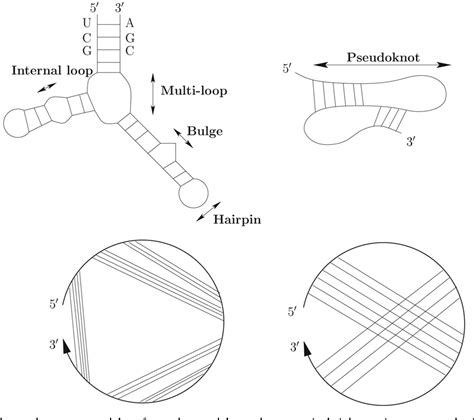 Figure 1 From Computational Prediction Of Nucleic Acid Secondary