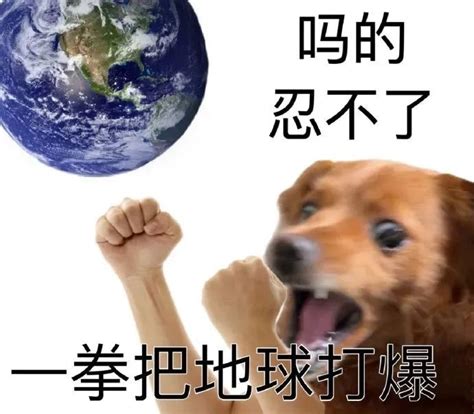 狗狗发疯表情包图片大全最近的精神状态人哪有不疯的配图网