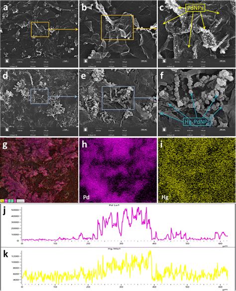 A Highly Selective Mercury Ion Electrochemical Detection Based On The Enhancement Of Oxidase