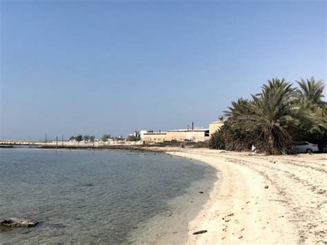 Top 3 Things To Do In Umm Bab Beach Qatar