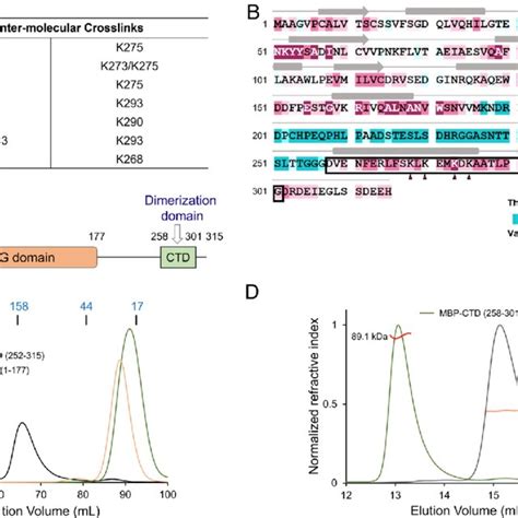 Aagab Dimerization Is Mediated By Its Ctd A Crosslinking Mass
