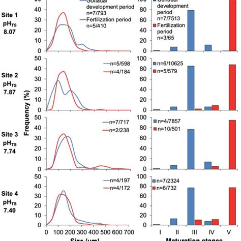 Oocyte Size And Spermary Maturation Stage Distributions A