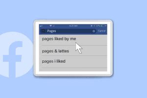 How To See Liked Pages On Facebook TechCult