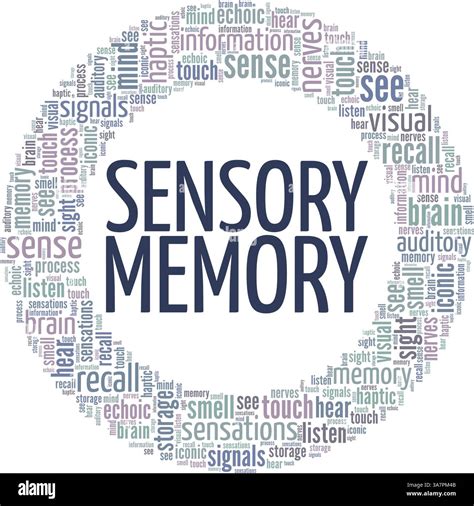Sensory Memory Vector Illustration Word Cloud Isolated On White