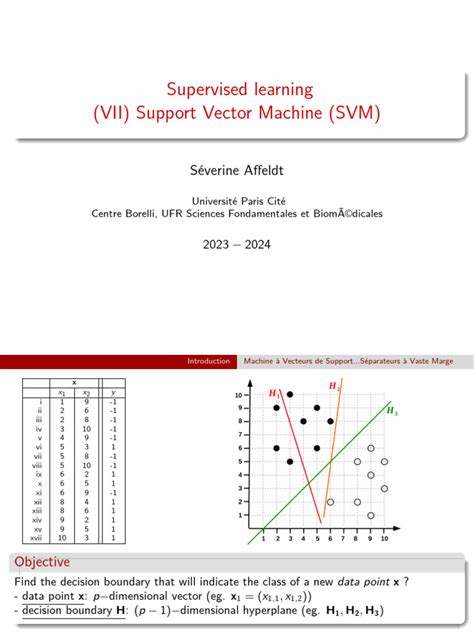 Dataminingm1svm Pdf Support Vector Machine Mathematical