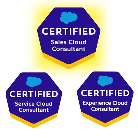 Shrikant Navase On Linkedin Salesforce Salescloud Certification Consulting