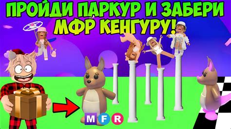 ПРОЙДИ ПАРКУР И ЗАБЕРИ МФР КЕНГУРУ В Adopt Me Roblox ИГРАЮ И ТРЕЙЖУСЬ С ПОДПИСЧИКАМИ В АДОПТ МИ