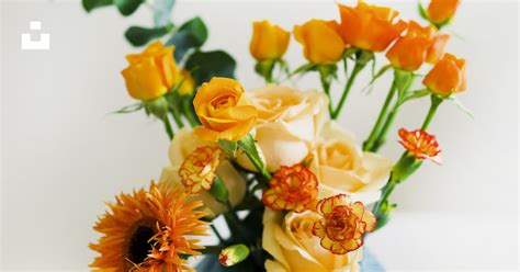 노란색과 주황색 꽃으로 가득 찬 파란색 꽃병 사진 Unsplash의 무료 장미 이미지