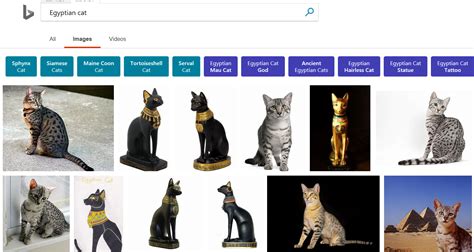 Tensorflow Vgg19 图像识别阿豪boy的博客 Csdn博客