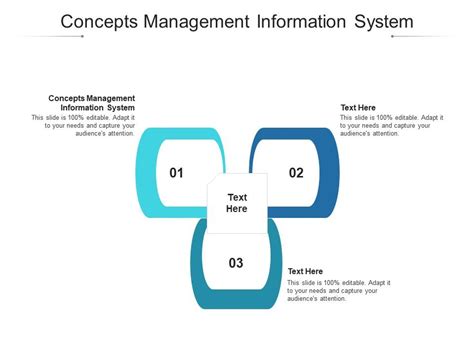 Concepts Management Information System Ppt Powerpoint Presentation