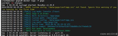 轻量级的git Server工具：docker部署gogsdocker Git Server Csdn博客