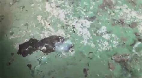 At A Glory Hole Eporner