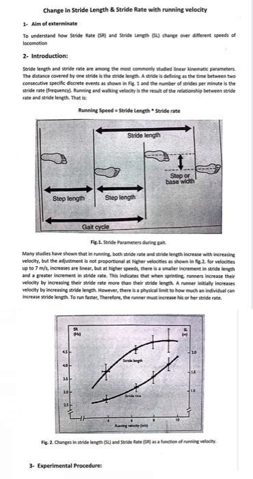 Solved 1 Aim Of Exterminate To Understand How Stride Rase
