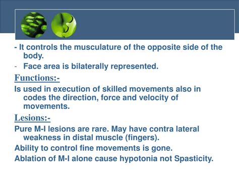 Ppt Motor Areas Pyramidal And Extrapyramidal System Powerpoint Presentation Id 9503567