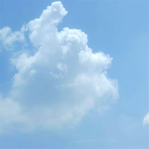 孙悟空与猪八戒的武力在西游记处于什么水平 的战斗 妖怪 实力
