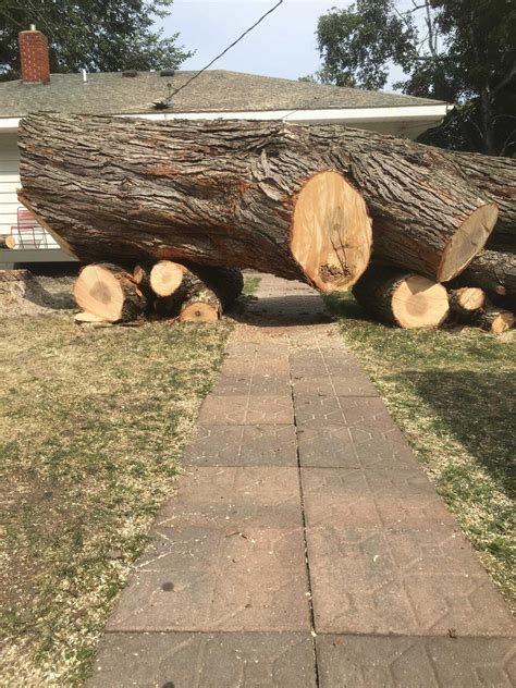 Hazardous Tree Mitigation St Cloud Mn Ludivig Tree Service