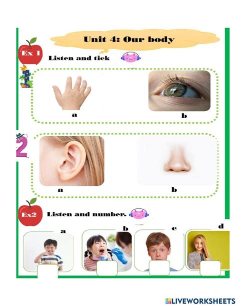 Unit 4 Our Body Free Interactive Worksheets 2103196