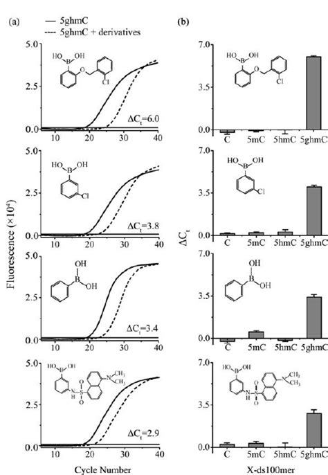 The Effects Of Four Ba Derivatives On Taq Dna Polymerase Replicating Download Scientific