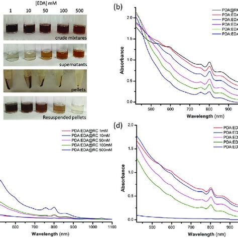 A Stages Of The Reactions Between EDA And PDA RC At Increasing EDA Download Scientific Diagram